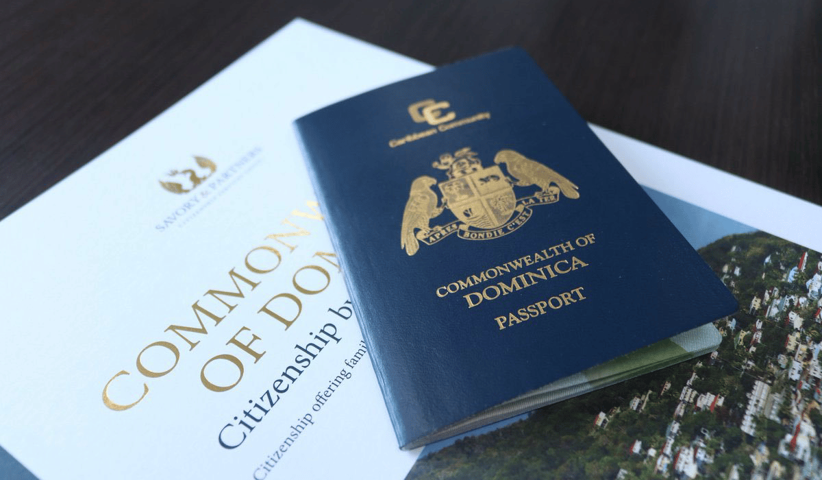 Visa, Residency, and Citizenship in the Dominican Republic | Adam Fayed