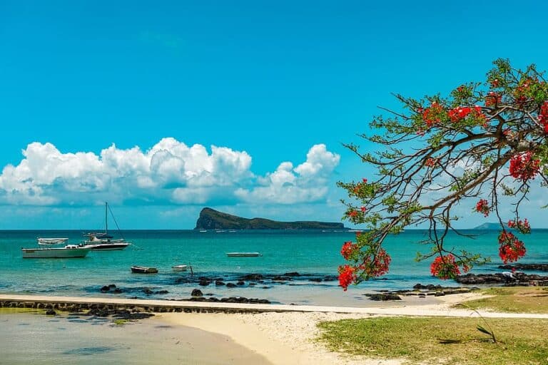 International Assurance Mauritius PCC Review | Adam Fayed