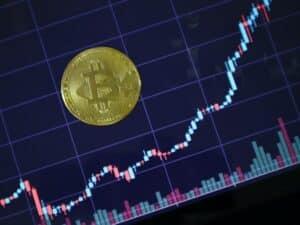 Principle-Protected Notes 101: A Comprehensive Guide | Adam Fayed