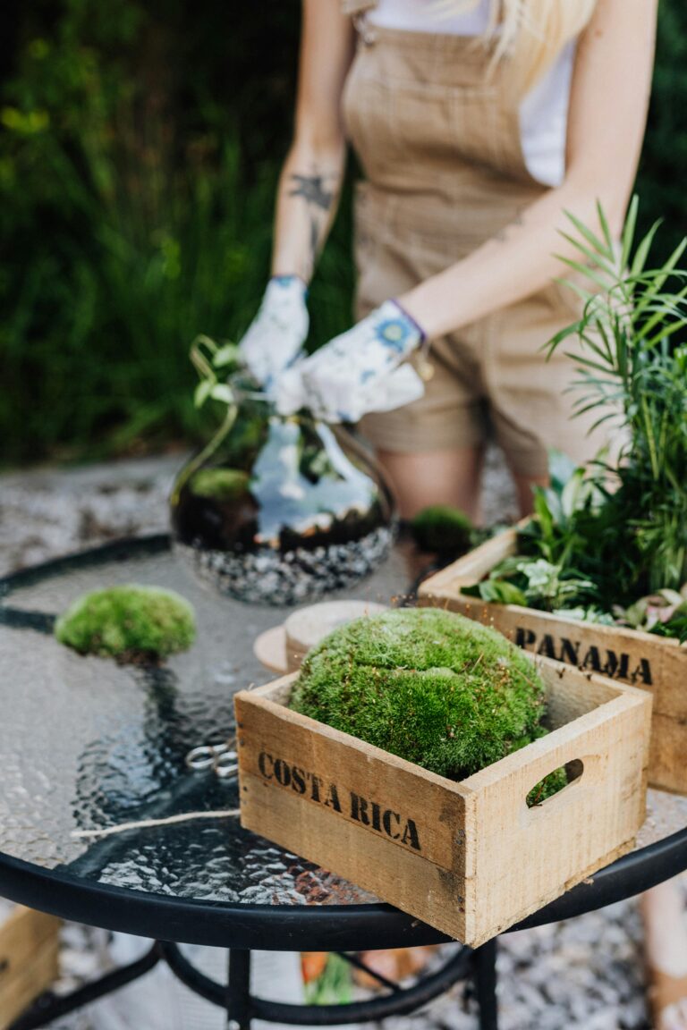 Where Do Most Expats Live in Panama?