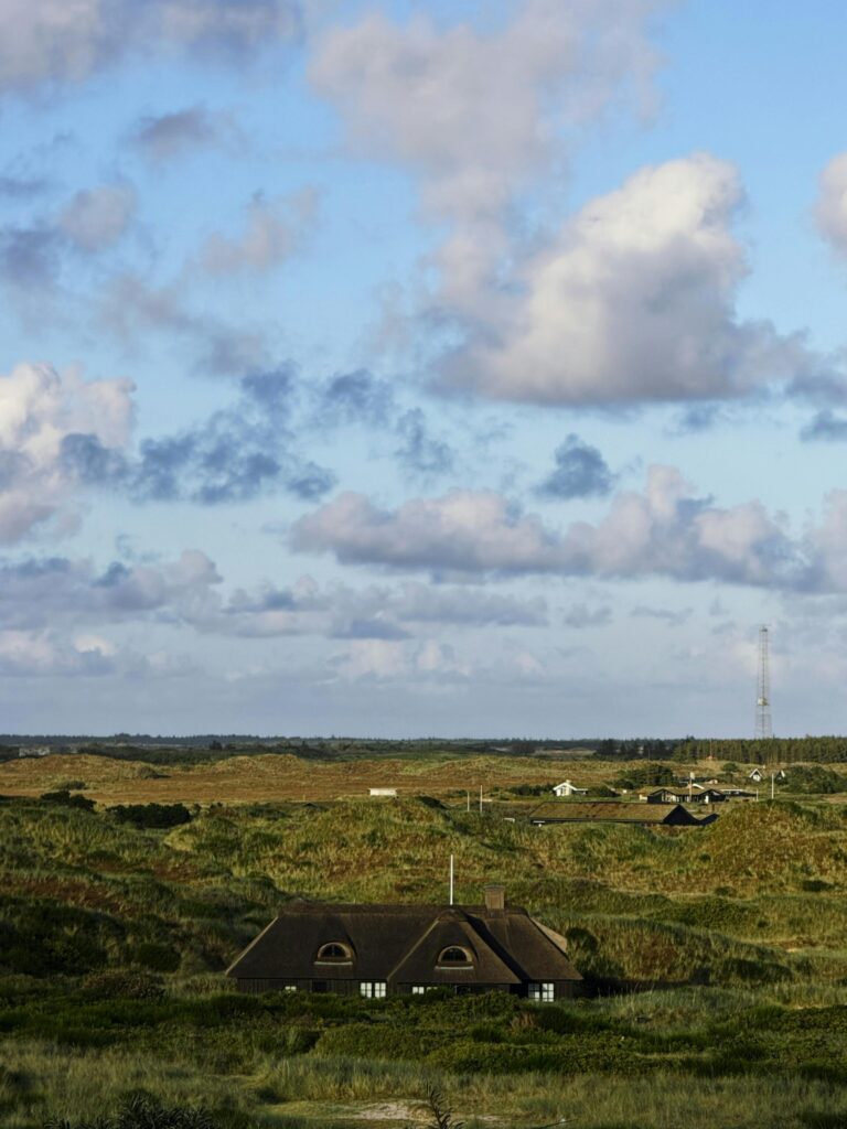 Denmark Citizenship by Descent: Generations and Rules